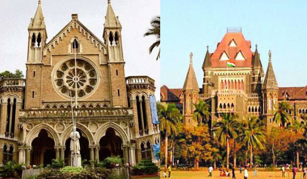 हायकोर्टाचा मुंबई विद्यापीठाला झटका, सिनेटच्या निवडणुका उद्याच घेण्याचे ...