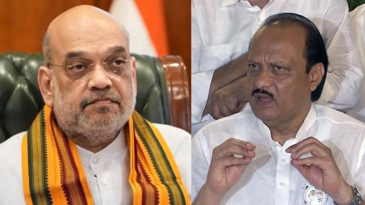 'एका पक्षाच्या बळावर सरकार येऊच शकत नाही', अमित शाह यांच्या स्वबळाच्या ...