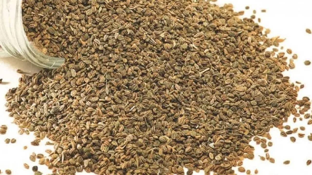 Ova : हिवाळ्यात फिट राहण्यासाठी 'ओवा' खा, त्याचे विशेष फायदे समजून घ्या ...