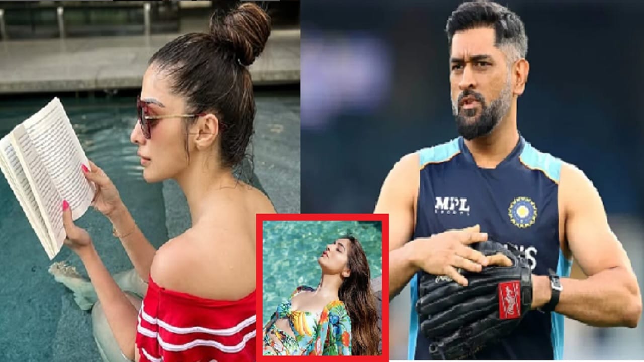 धोनीसोबत रिलेशनमध्ये होती साऊथची प्रसिद्ध अभिनेत्री; ब्रेकअप नंतर ...