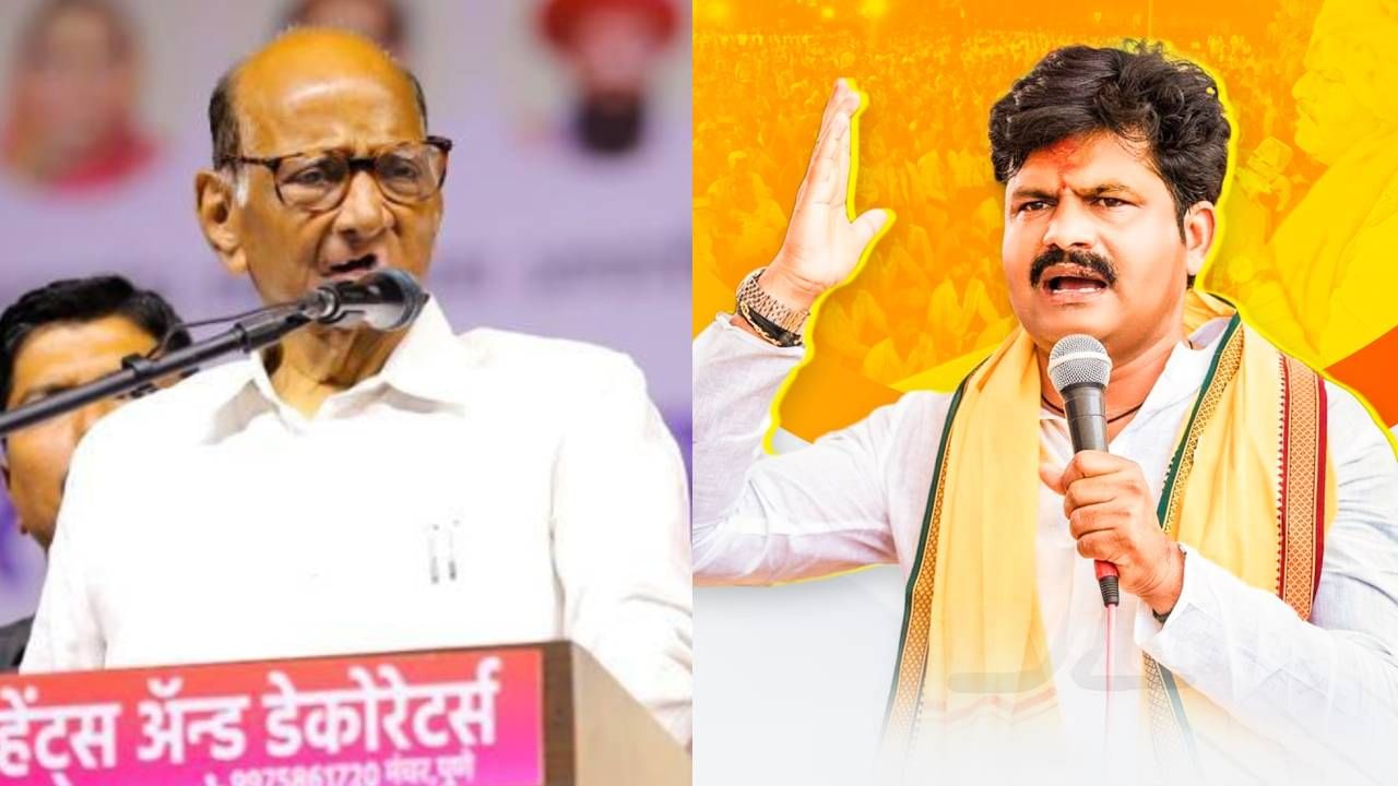 100 शकुनी मेल्यानंतर शरद पवार जन्माला...; गोपीचंद पडळकरांकडून शरद पवारांवर एकेरी भाषेत टीका ...