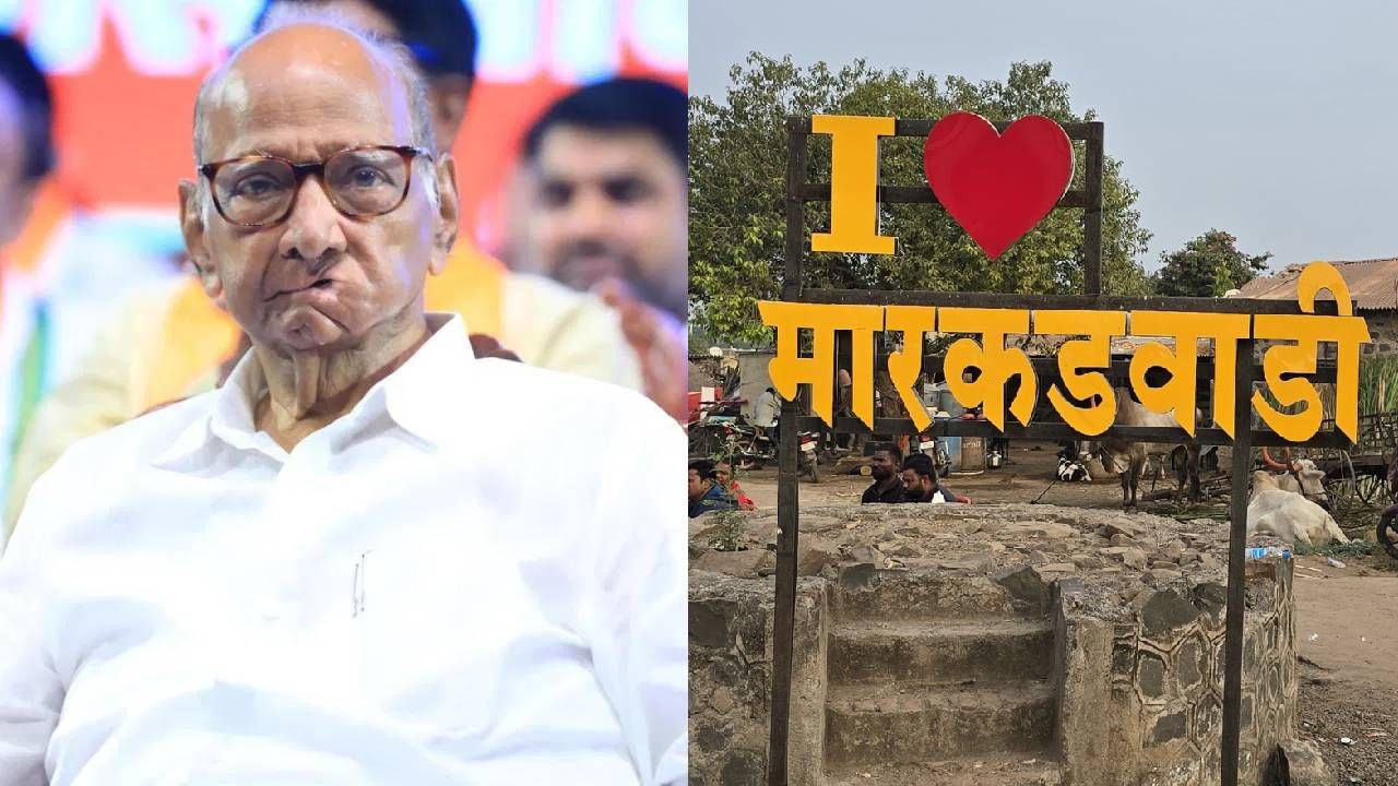 शरद पवार मारकडवाडीत जाणार, राहुल गांधी इथूनच मोर्चाची सुरुवात करणार; माळशिरस बनलं EVM विरोधी ...