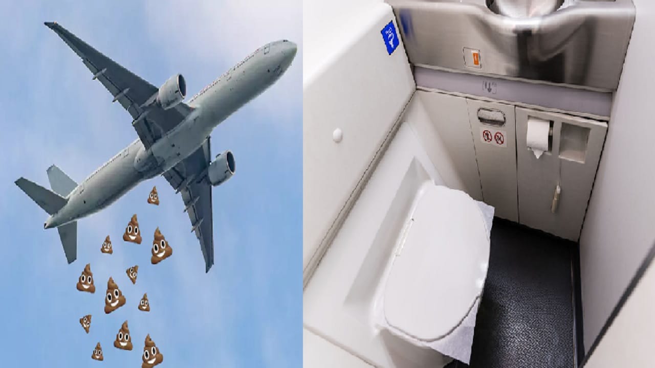 विमानाच्या शौचालयातील विष्ठा अन् मलमूत्र हवेत? उत्तर फारच इंट्रेस्टिंग ...