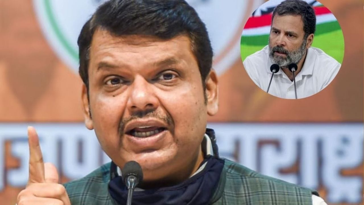 महाराष्ट्रातील विधानसभा निवडणुकीबाबत राहुल गांधींचा संशयकल्लोळ ...
