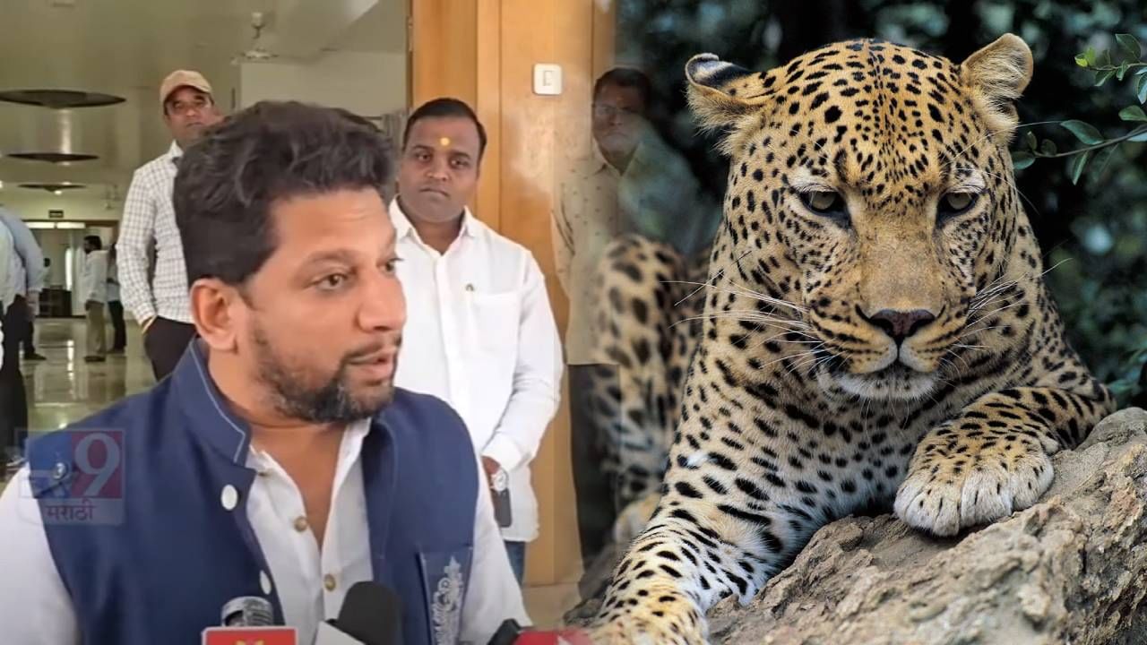 Sujay Vikhe Patil Video : बिबट्या माणसाला मारतो, आम्हालाही बिबट्याला मारू द्या; सुजय विखे थेट ...