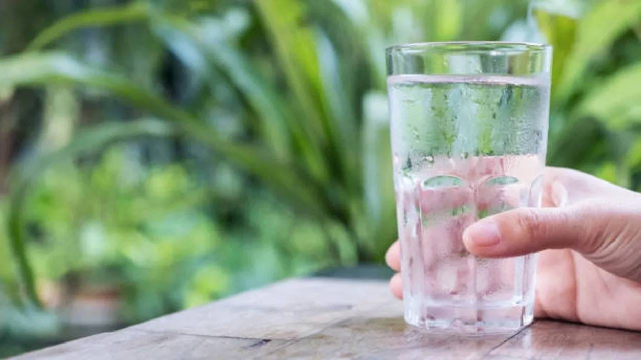 उन्हाळ्यात शरीर थंड ठेवायचंय? मग चंदनाचं सरबत नक्की ट्राय करा - Marathi ...