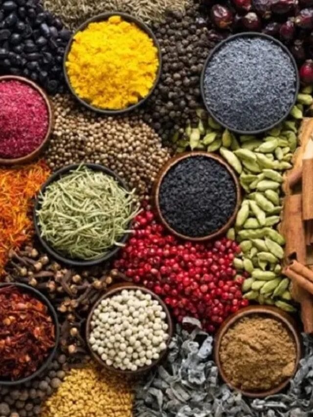 औषधी वनस्पती आणि मसाले आरोग्यास अत्यंत लाभदायक – TV9 Marathi