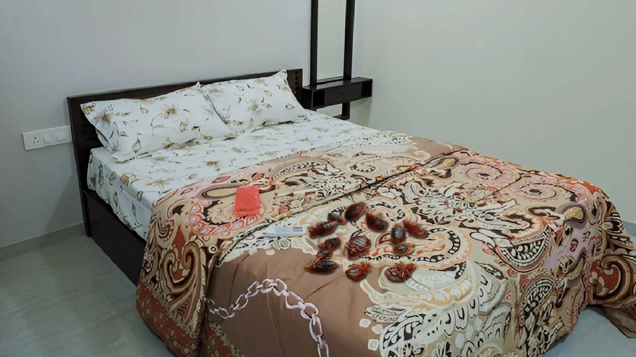 बेडरूमखाली गुपचूप ही गोष्ट शिंपडा... मग काय होतं ते पाहा? रात्रभर ...