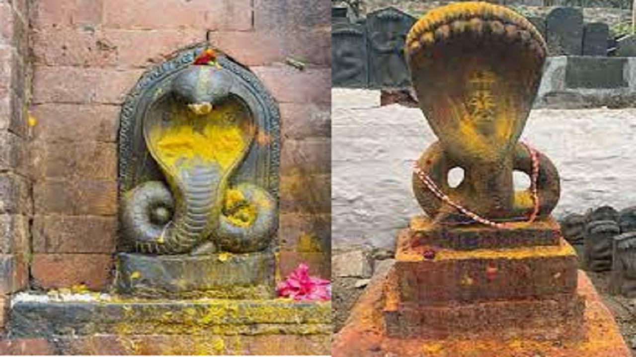 स्वप्नात नाग देवतेची मूर्ती पाहण्याचा अर्थ काय होतो? कसले संकेत असतात ...