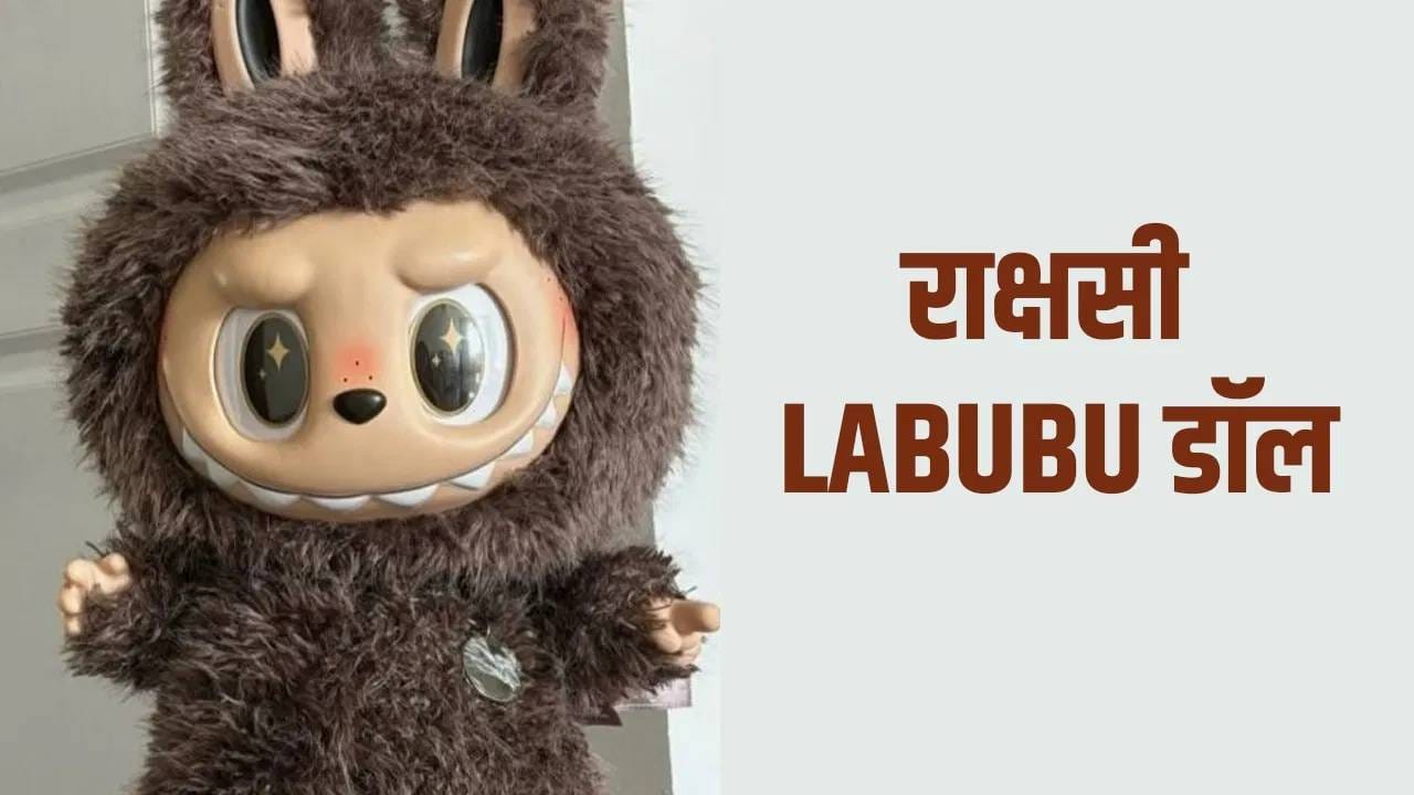 लाबुबू बाहुली राक्षसांची नातेवाईक? गोंडस दिसणारे खेळणे राक्षसी असल्याचा ...