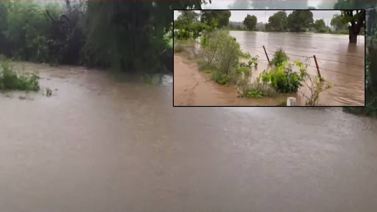 Maharashtra Rain : आज धुव्वाधार...राज्यात कुठे मुसळधार पाऊस, IMD कडून 'या' जिल्ह्यांना अलर्ट ...