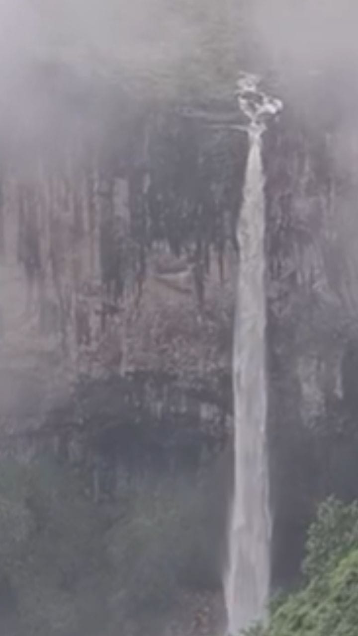 पाटोद्यातील सौताडा धबधबा प्रवाहित, पर्यटकांची गर्दी Sautada waterfall ...