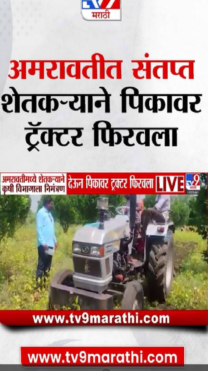 अमरावतीत संतप्त शेतकऱ्याने निमंत्रण पत्रिका पाठवून पिकावर ट्रॅक्टर ...