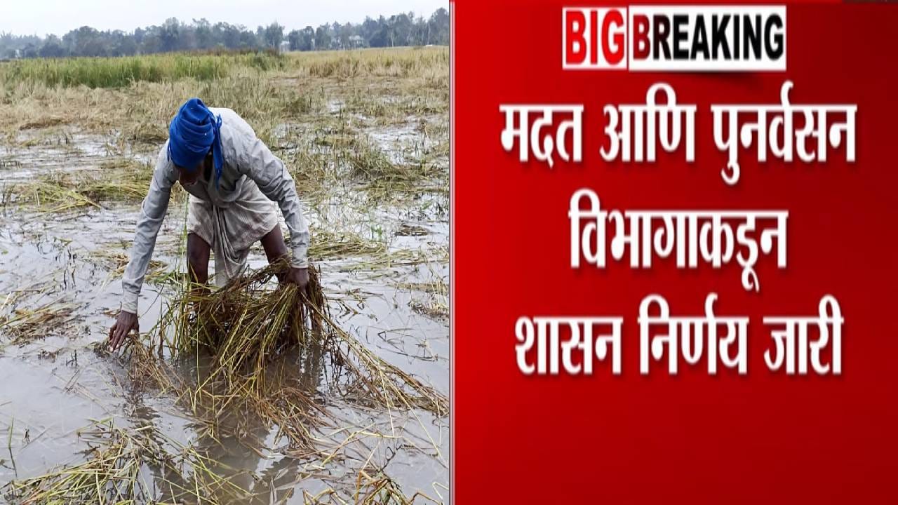 Crop Damage Relief : बळीराजाला दिलासा, पीक नुकसानासाठी 2 हजार 215 ...