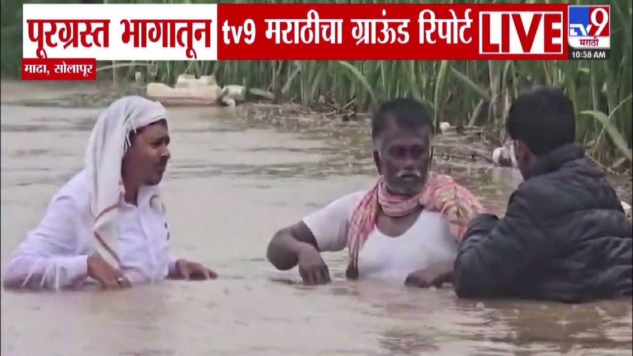Solapur flood : सोलापूरच्या माढ्याला पावसानं झोडपलं, शेतपीकं पाण्याखाली अन् शेतकरी संकटात ...