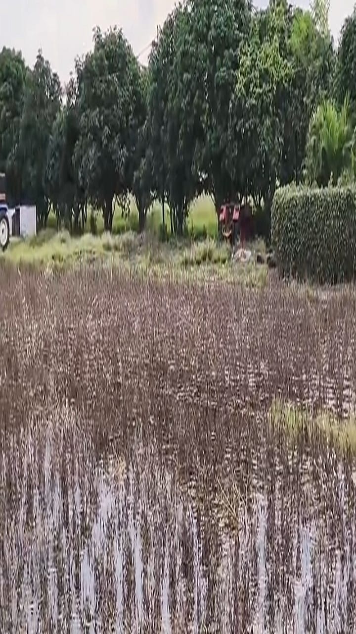 बीड तालुक्यातील नेकनूर परिसरातील शेकडो हेक्टर पीकं पाण्याखाली Hundreds ...