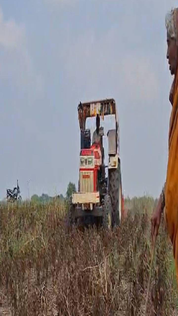शेतकऱ्याने सोयाबीन पिकांवर फिरवला ट्रॅक्टर Farmer run his tractor on ...