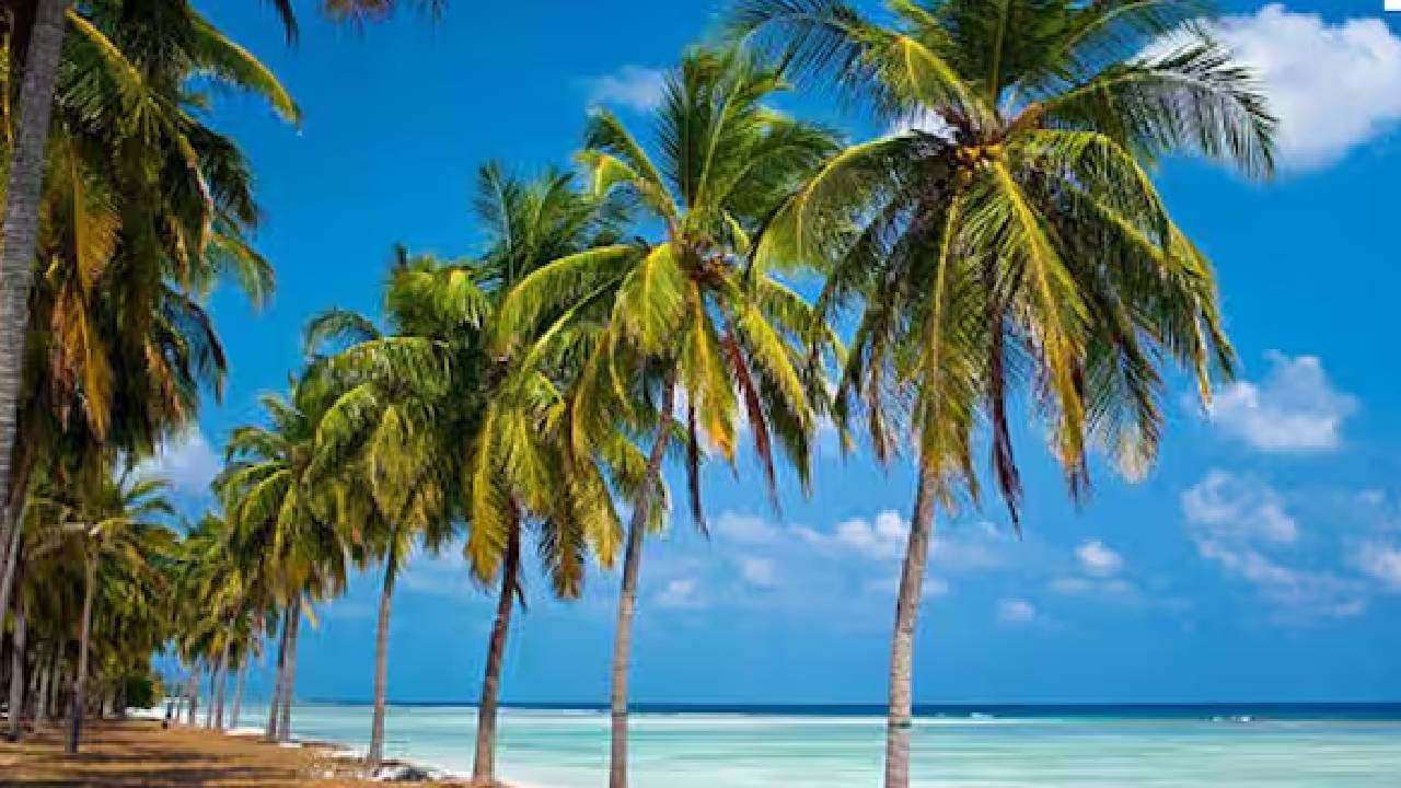 Knowledge : भारतातील एकमेव राज्ये, जिथे कधीच दंगल झाली नाही; नाव ऐकून ...