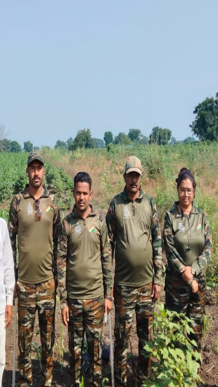 जालन्यातील अंबड तालुक्यातील सुखापुरी मंडळात बिबट्याचा वावर, नागरिकांनी ...