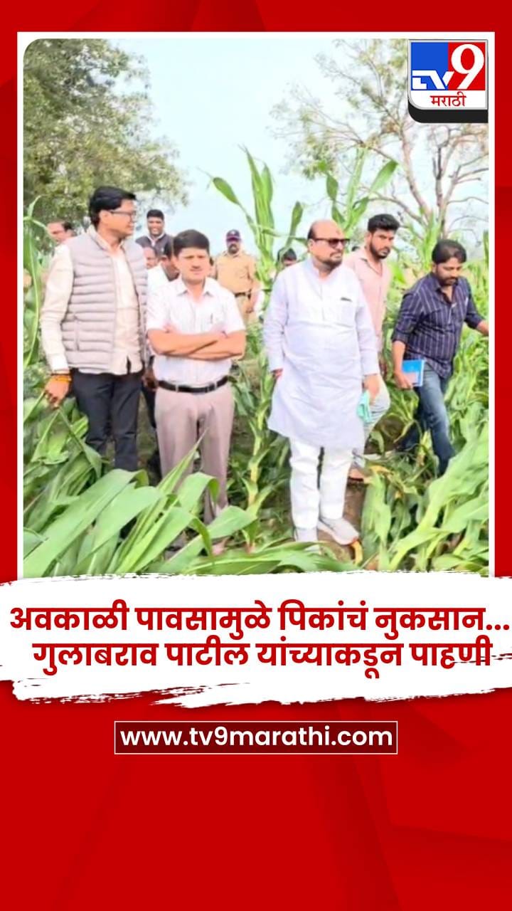 अवकाळी पावसामुळे पिकांचं नुकसान... गुलाबराव पाटील यांच्याकडून पाहणी ...