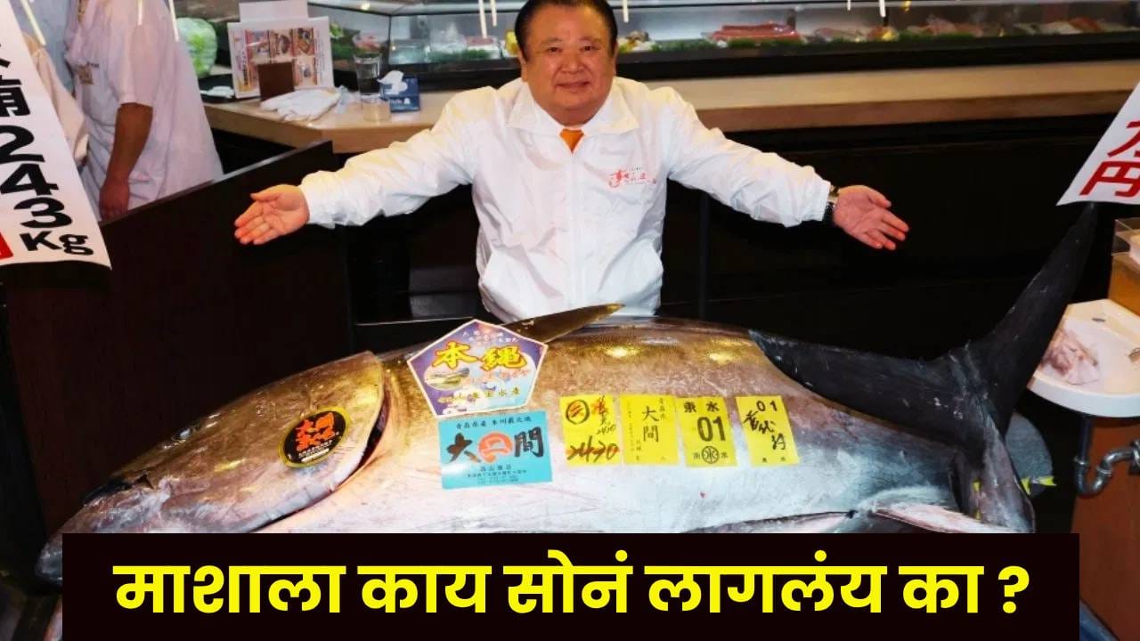 काय सोनं लागलंय का ? 29 कोटींना विकला गेला हा मासा, कारण काय तर ...