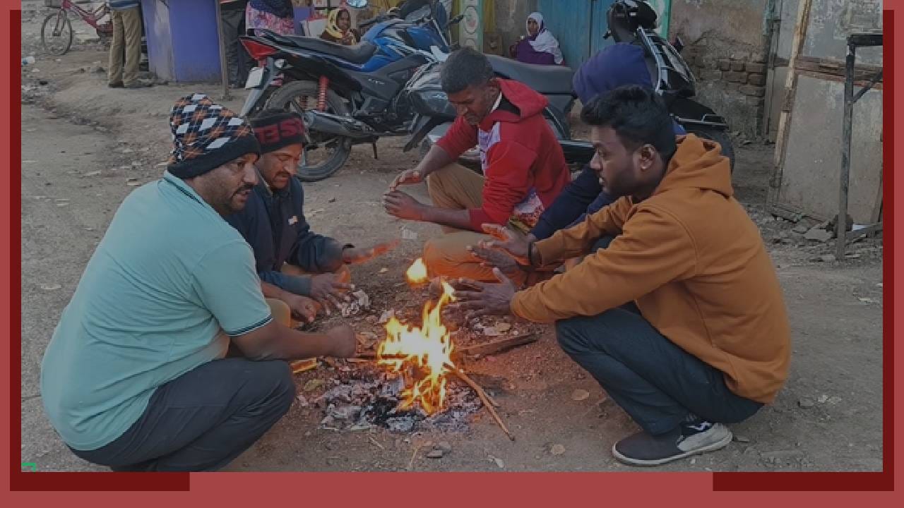 निफाडमध्ये कडाक्याची थंडी, द्राक्ष बागायतदार चिंतेत Severe cold in ...
