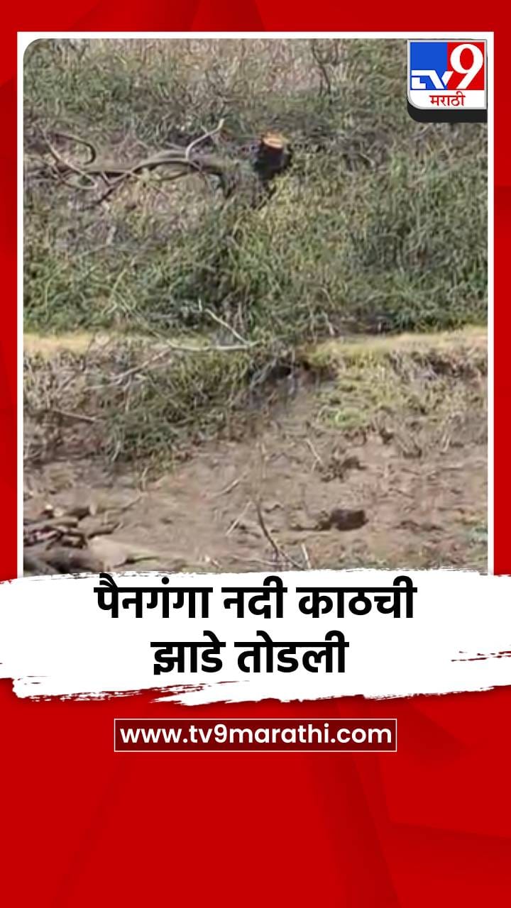 पैनगंगा नदी काठची झाडे तोडली Trees cut down on the banks of the Washim ...